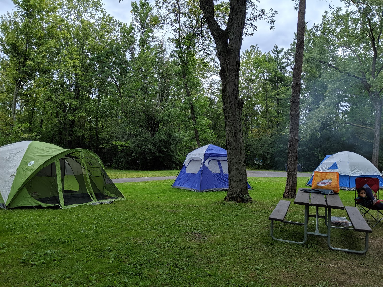 West Side - Cayuga Lake State Park - Pictures, Features & Amenities ...