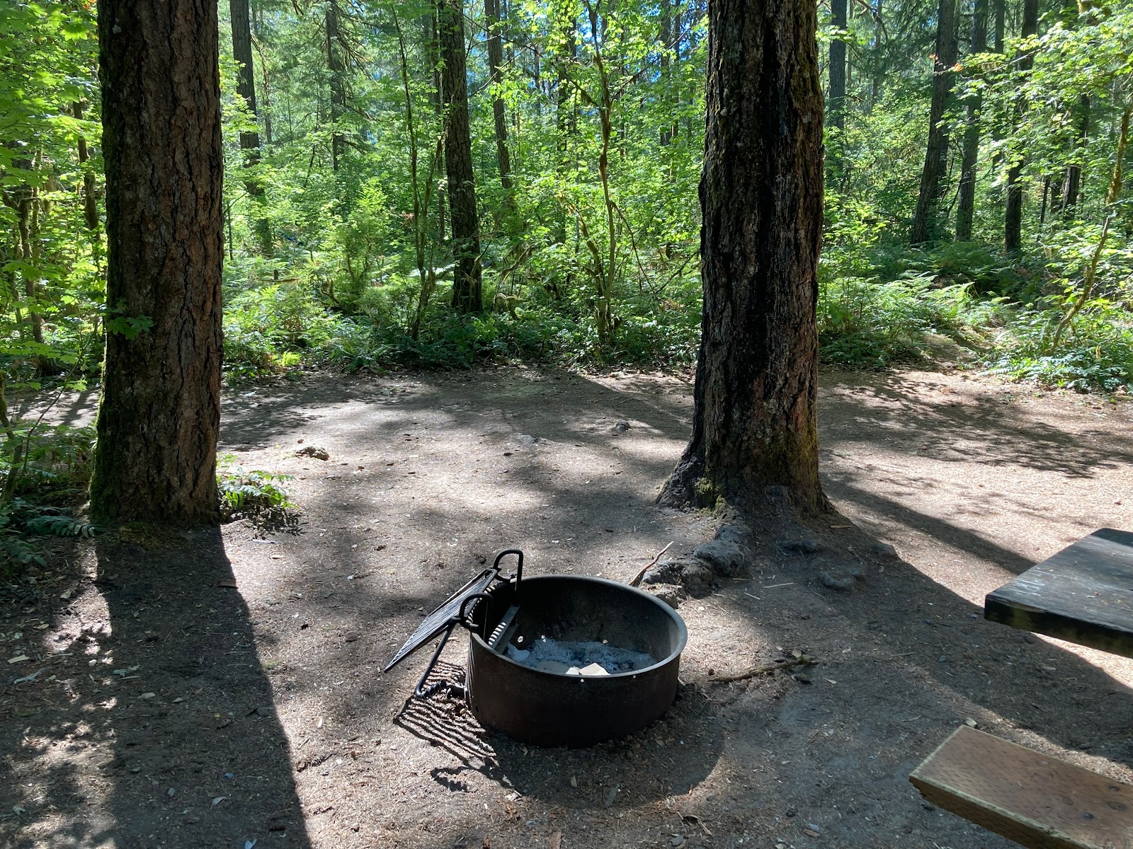 Swift Forest Camp Pacificorp - Pictures, Features & Amenities | RVezy ...