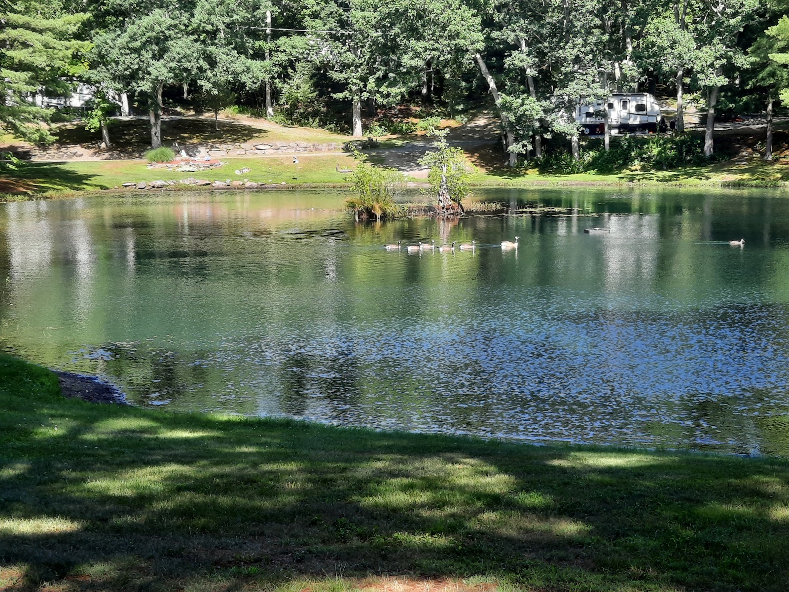 Countryside RV Park - Pictures, Features & Amenities | RVezy Campgrounds