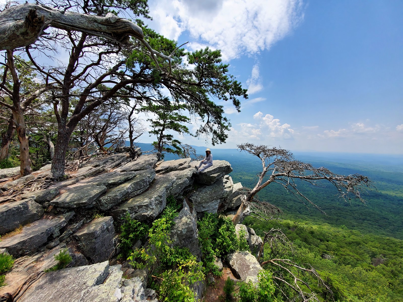 Cheaha State Park - Pictures, Features & Amenities | RVezy Campgrounds