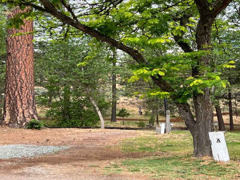 Trailer Lane Campground - Pictures, Features & Amenities | RVezy ...