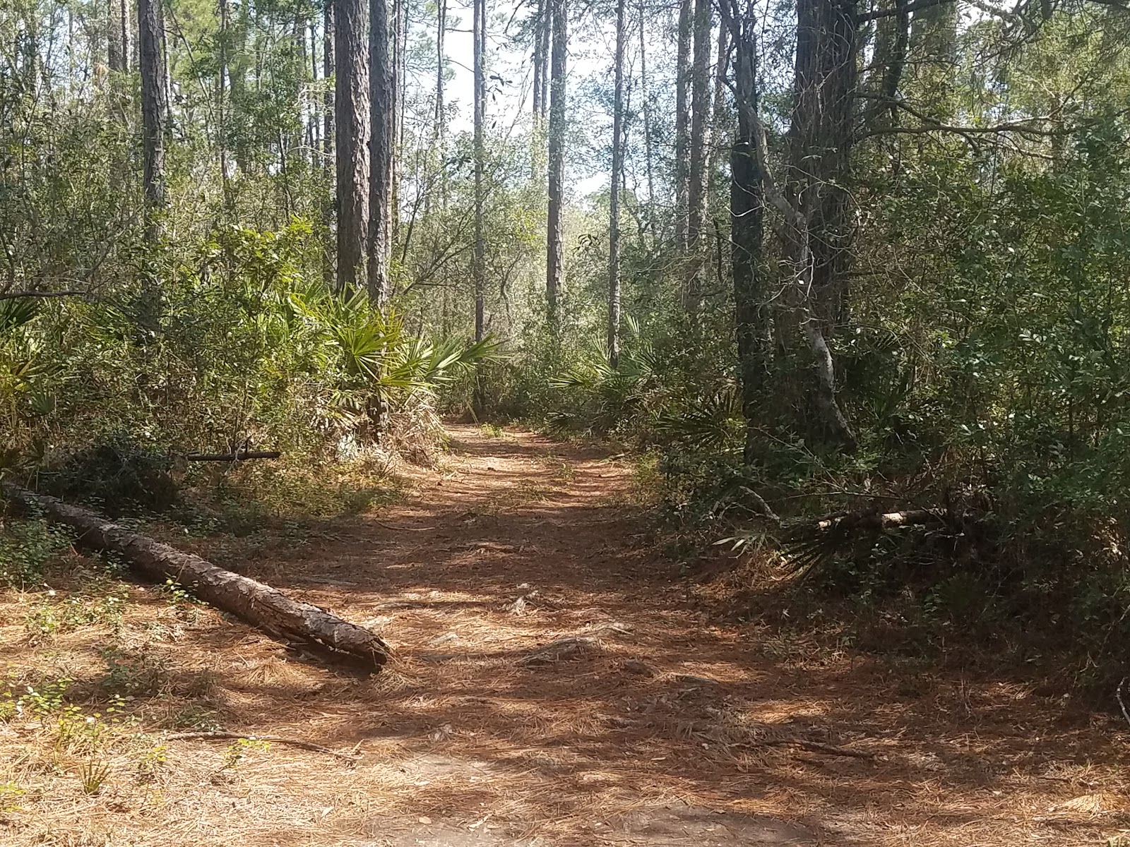 Plantation Harbour RV Resort - Pictures, Features & Amenities | RVezy ...