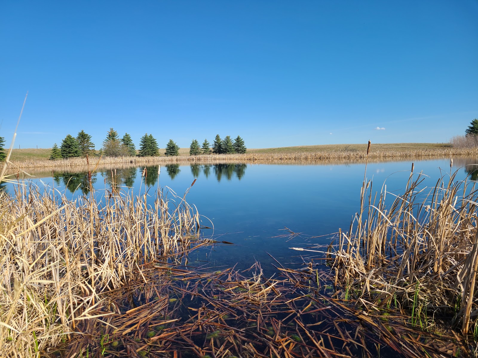 Crawling Valley Campground - Pictures, Features & Amenities | RVezy ...