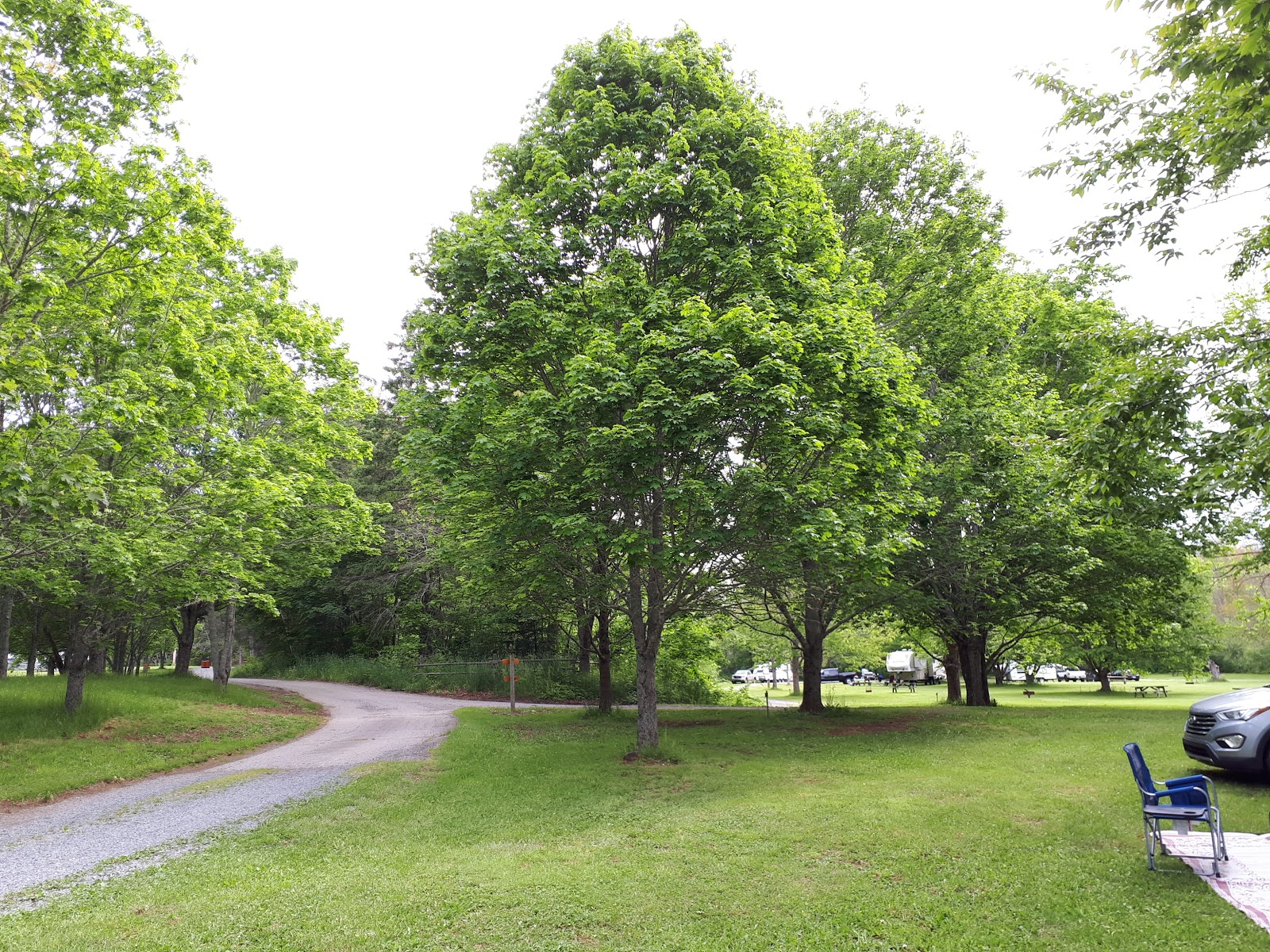 Smileys Provincial Park and Campground - Pictures, Features & Amenities ...