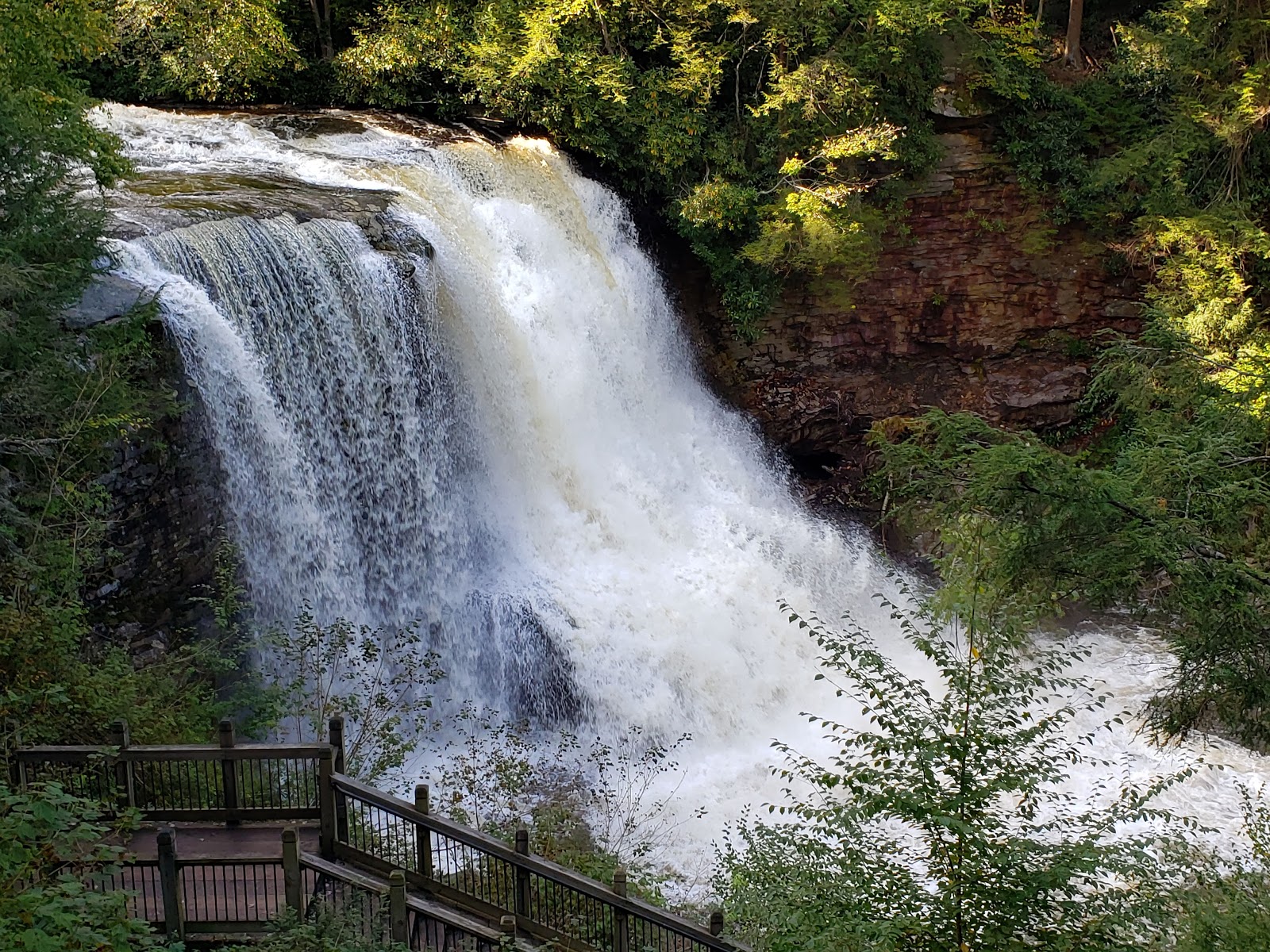 Swallow Falls State Park - Pictures, Features & Amenities | RVezy Campgrounds