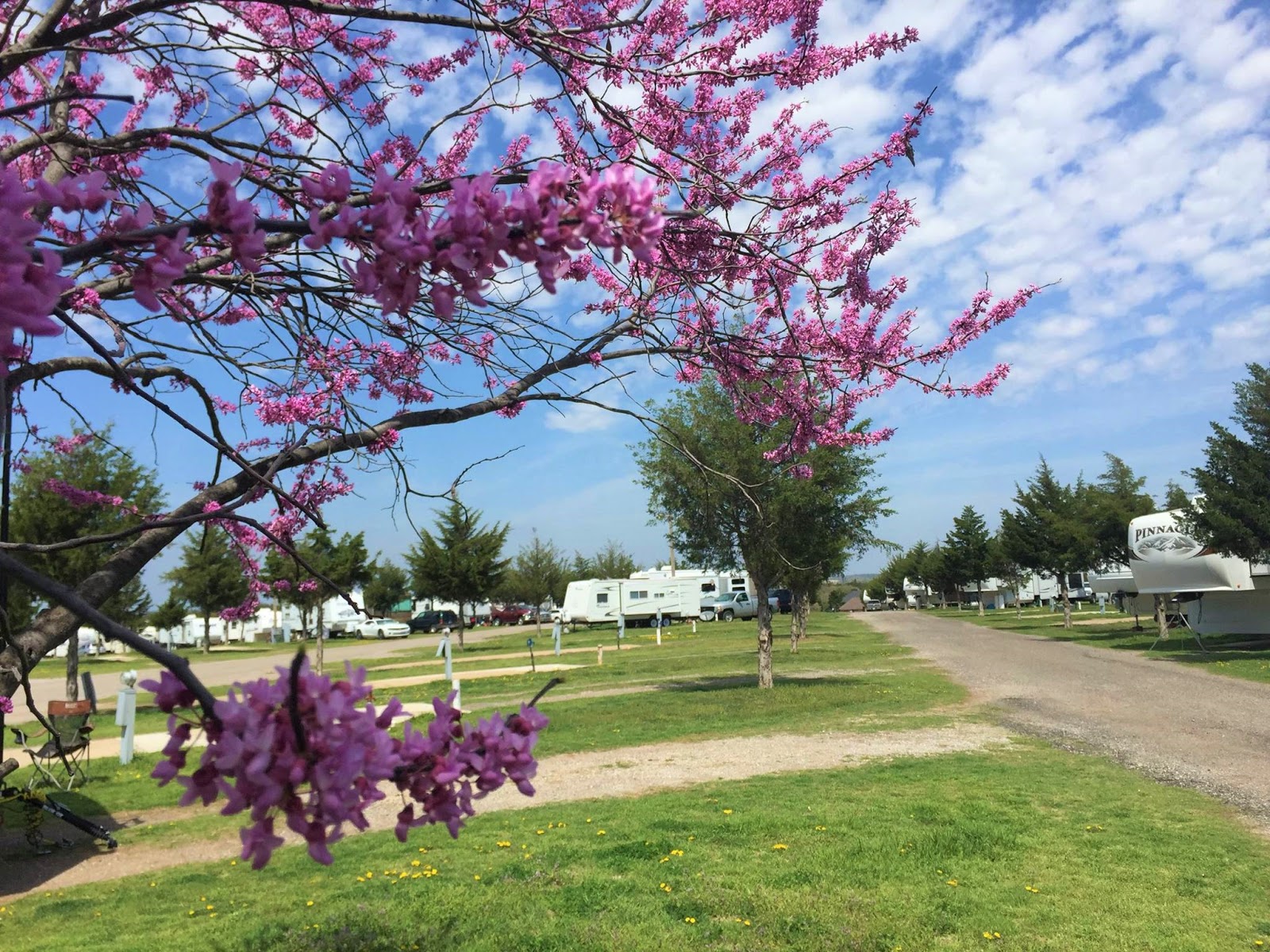 Cedar Valley RV Park and Golf - Pictures, Features & Amenities | RVezy ...