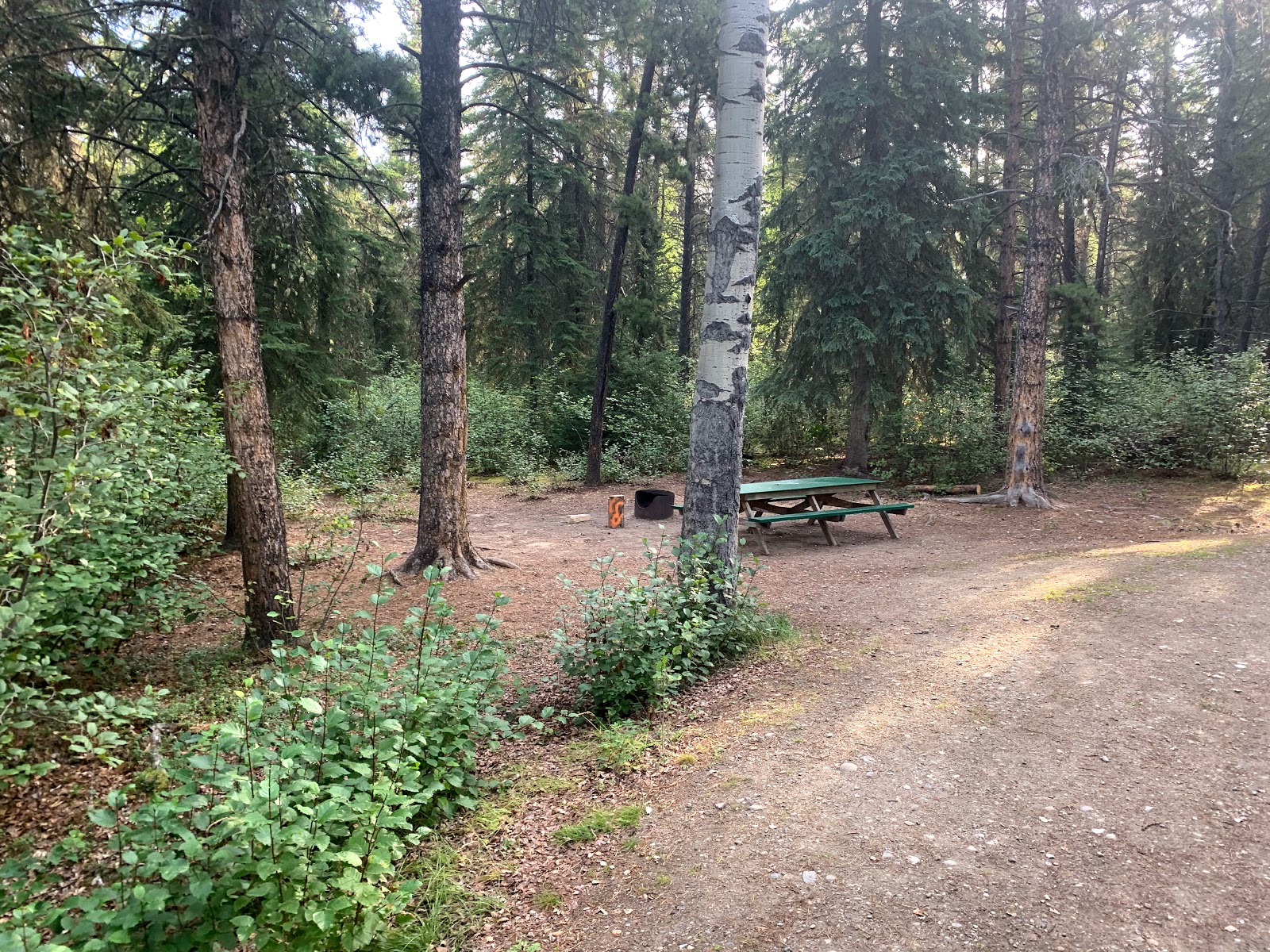 Watson Lake Campground - Pictures, Features & Amenities | RVezy Campgrounds