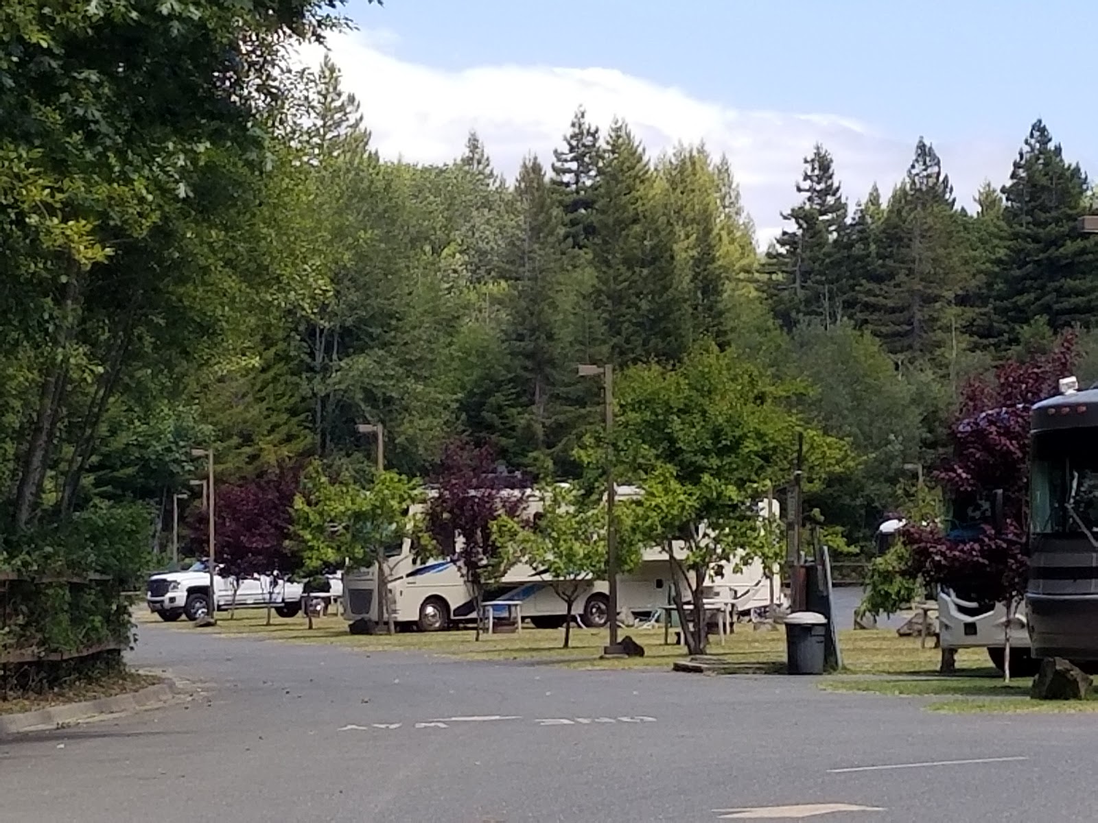 Ancient Redwoods RV Park - Pictures, Features & Amenities | RVezy ...