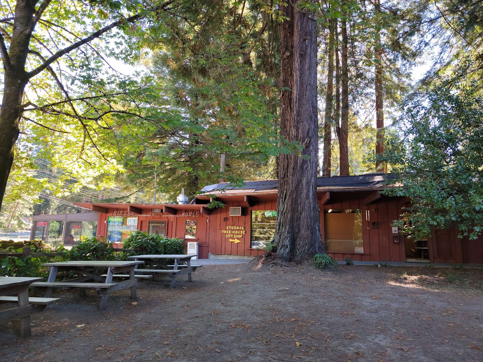 Redcrest Resort - Pictures, Features & Amenities | RVezy Campgrounds