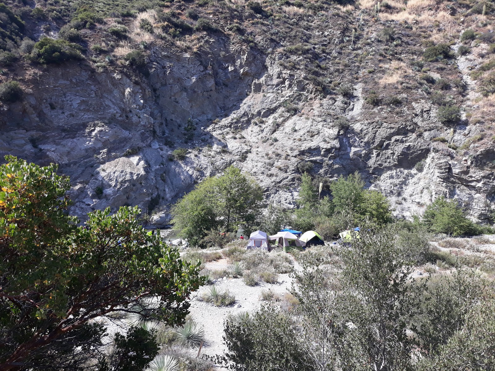 Camp Williams Resort - Pictures, Features & Amenities | RVezy Campgrounds