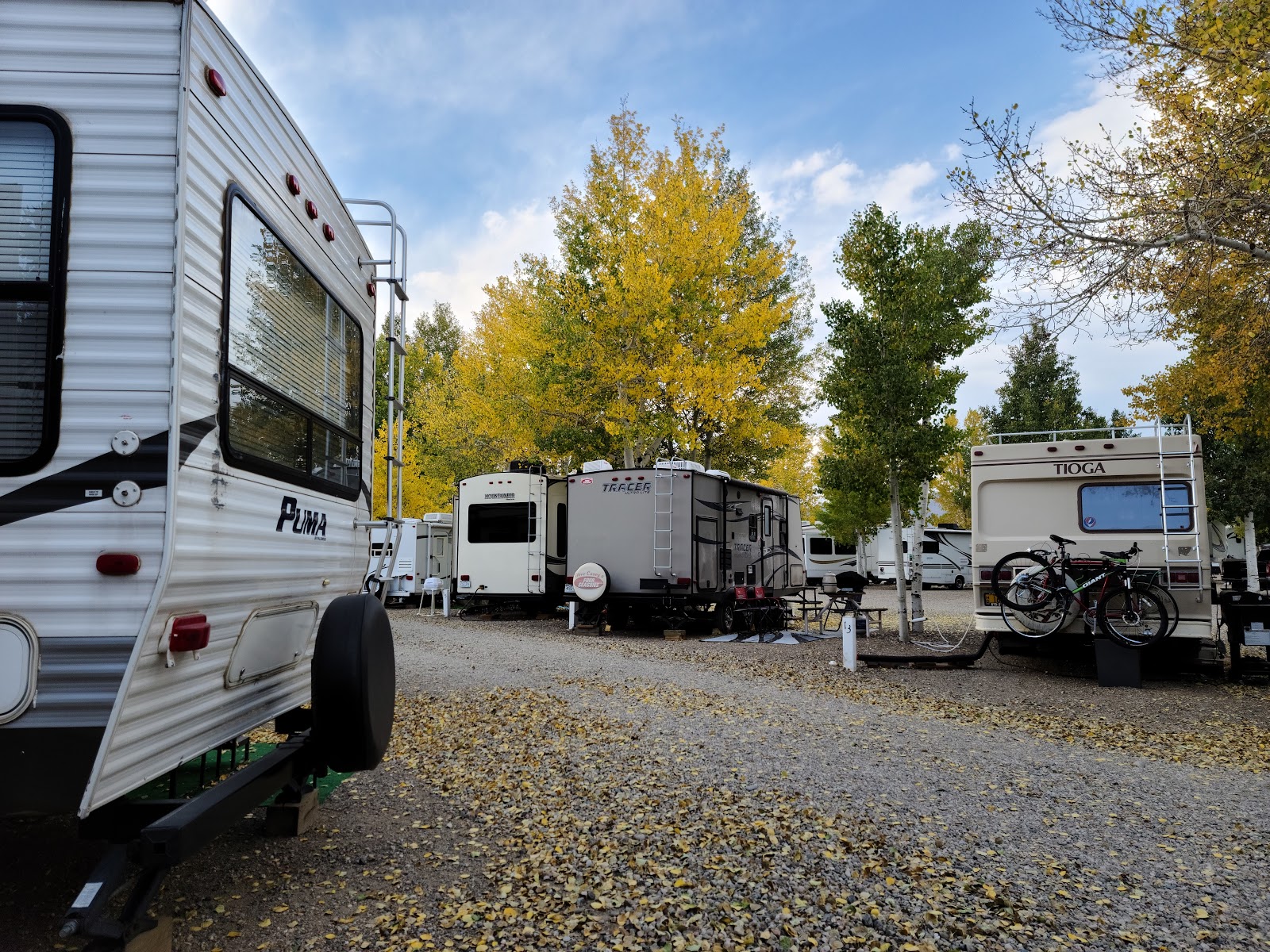 Red Mountain RV Park - Pictures, Features & Amenities | RVezy Campgrounds