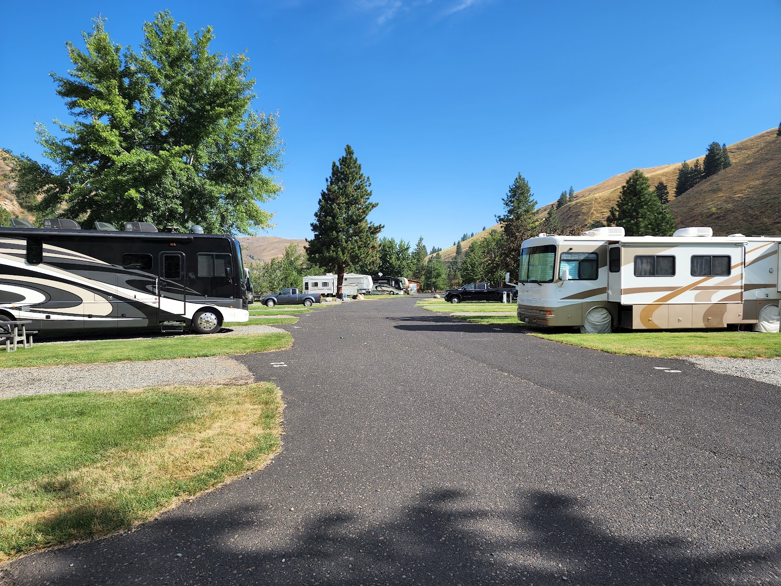Canyon Pines RV Resort - Pictures, Features & Amenities | RVezy Campgrounds