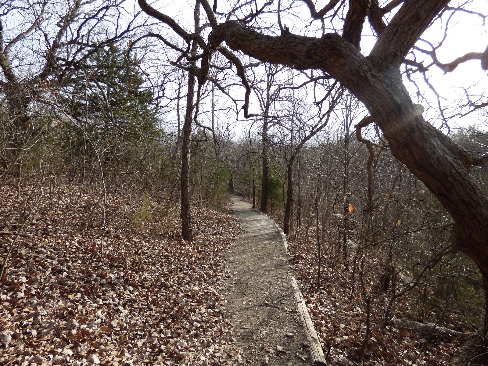 Cedar Ridge Park - Spillway Park - Tuttle Creek State Park - Pictures ...