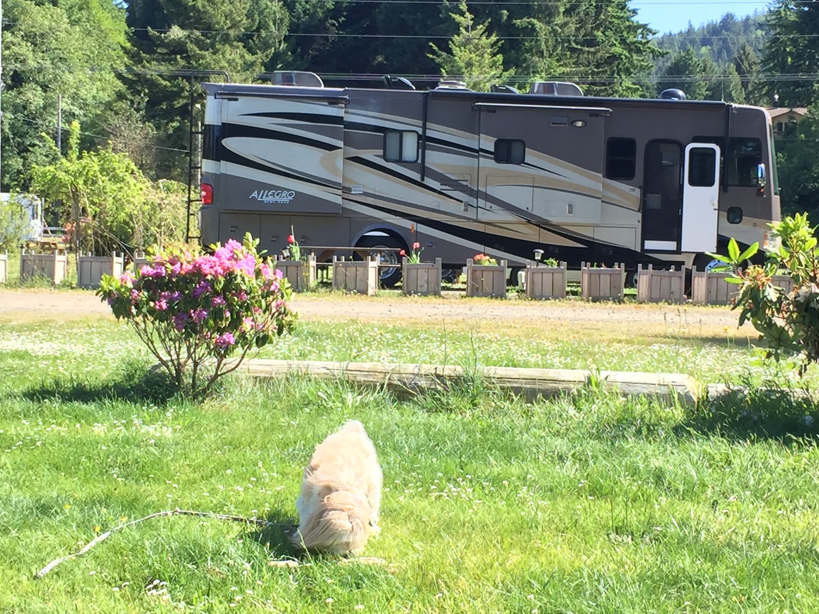 Rovers RV Park - Pictures, Features & Amenities | RVezy Campgrounds