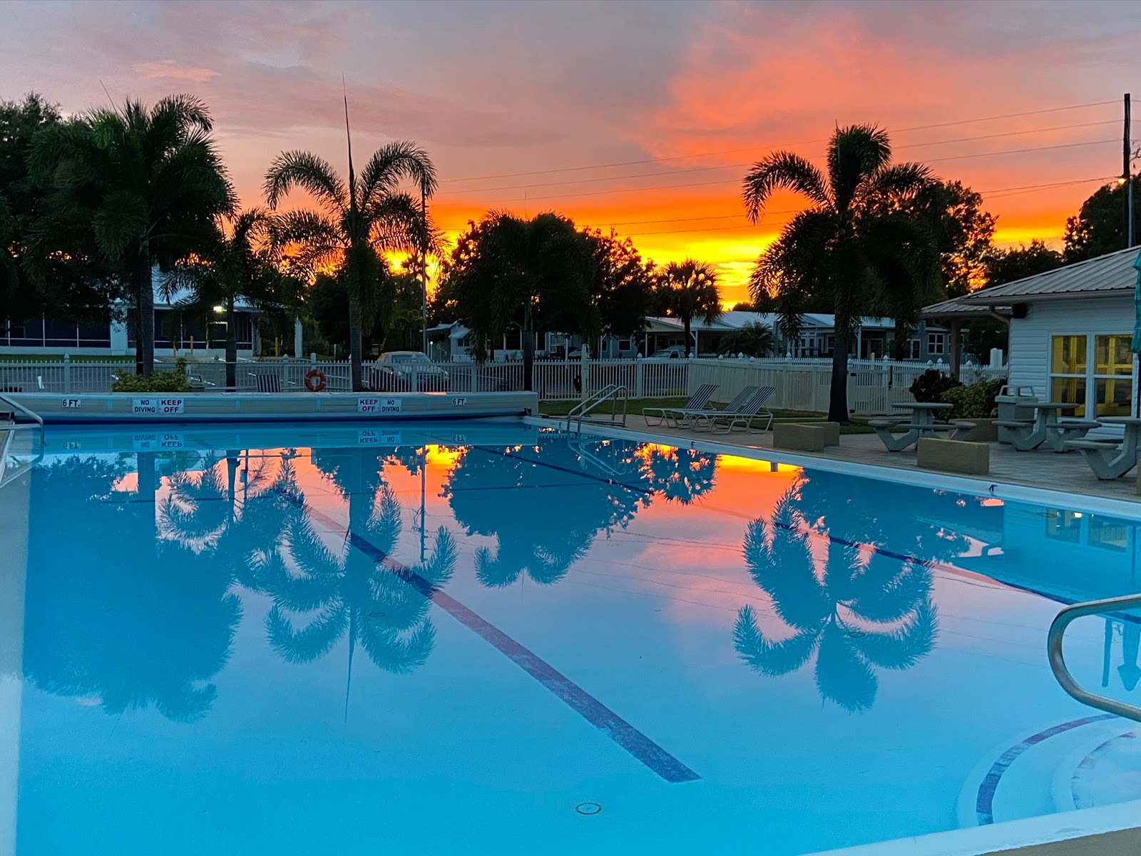 Camp Florida RV Resort - Pictures, Features & Amenities | RVezy Campgrounds