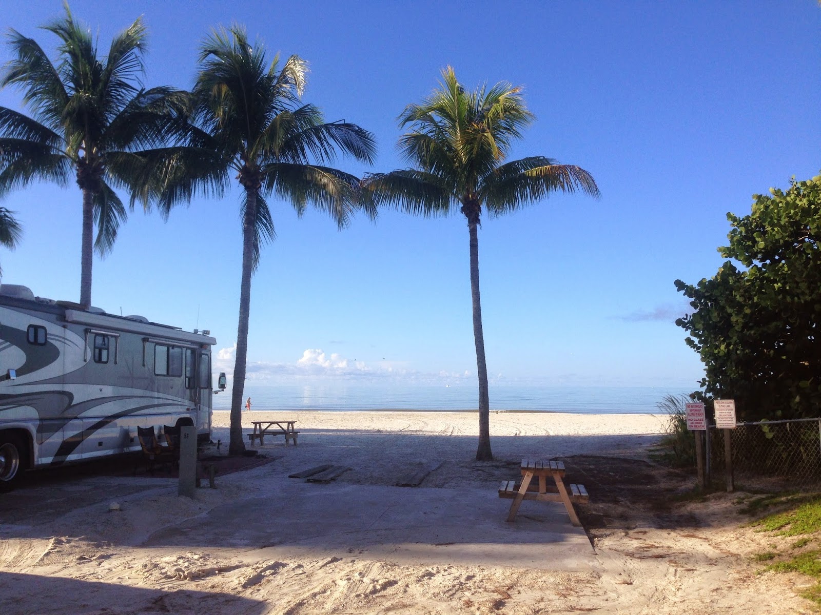 Red Coconut RV Resort - Pictures, Features & Amenities | RVezy Campgrounds