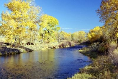 Fish House Inn and RV Park - Pictures, Features & Amenities | RVezy ...