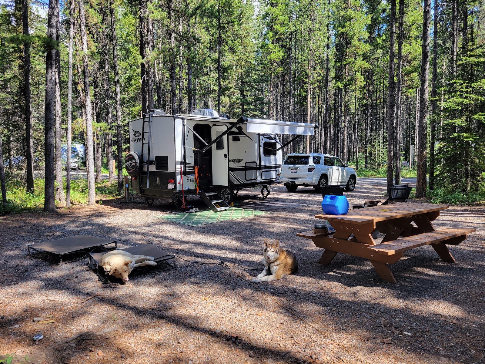 Elkwood - Peter Lougheed Provincial Park - Pictures, Features ...