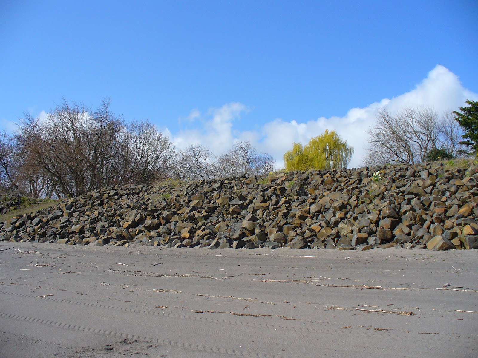 Reeder Beach RV Park and Country Store - Pictures, Features & Amenities ...