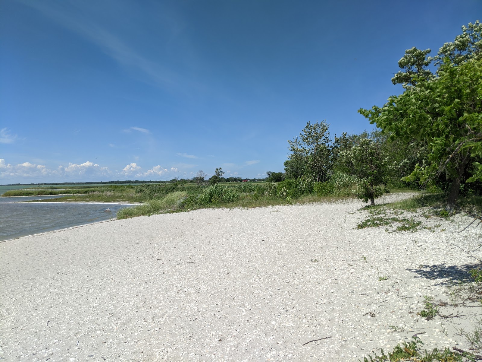 Watchorn Provincial Park - Pictures, Features & Amenities | RVezy ...