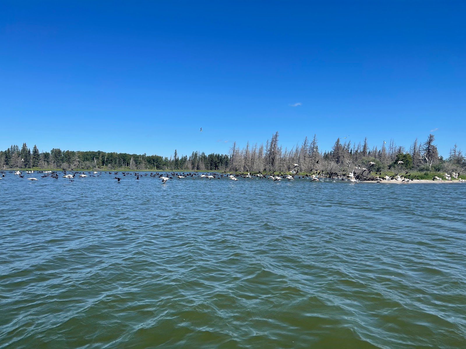 Moose Lake Provincial Park - Pictures, Features & Amenities | RVezy ...