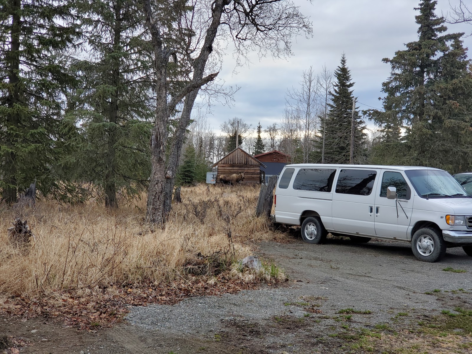 Reel 'Em Inn - Cook Inlet Charters - Pictures, Features & Amenities ...