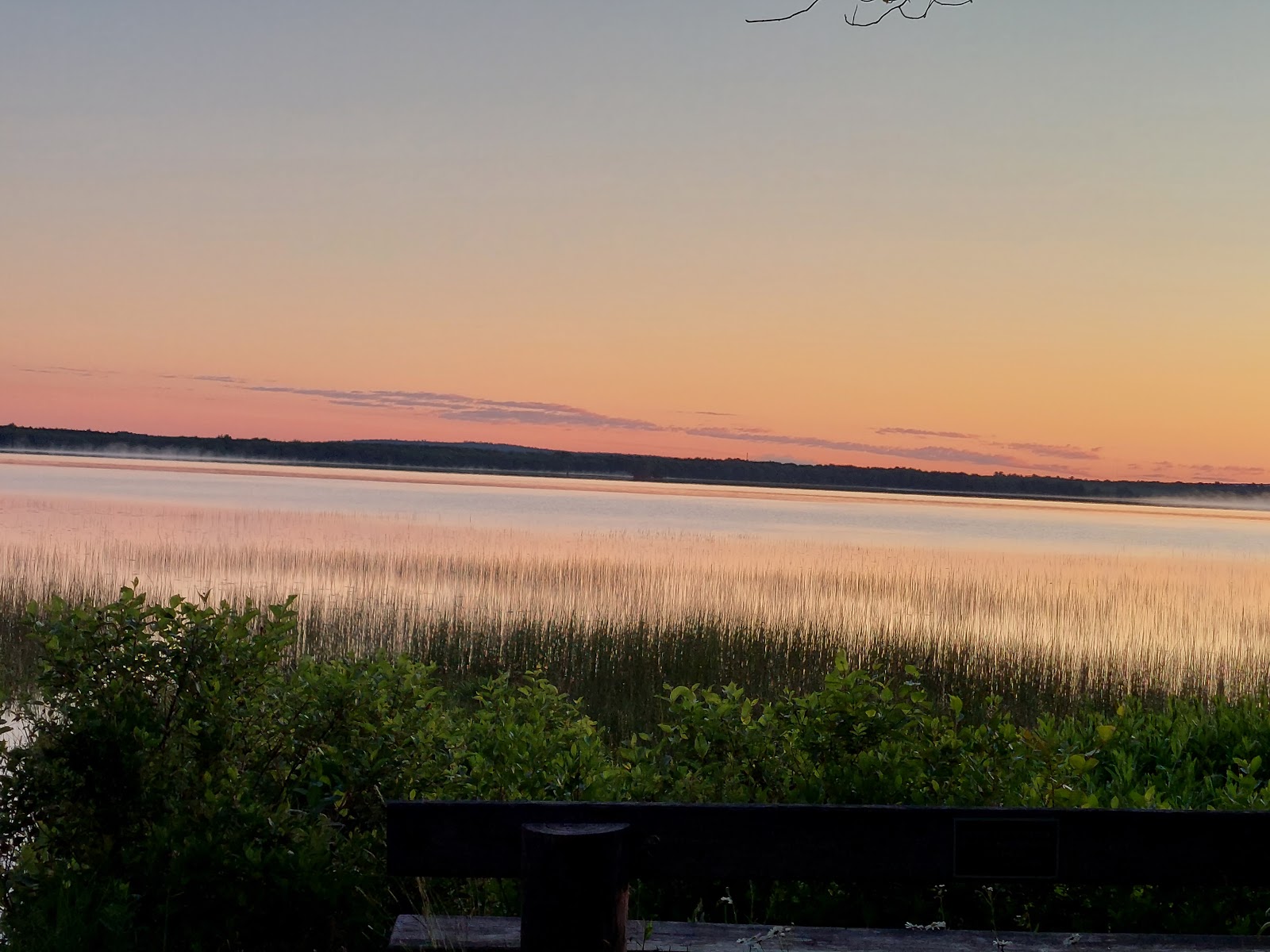 Wordens Pond Family Campground - Pictures, Features & Amenities | RVezy ...