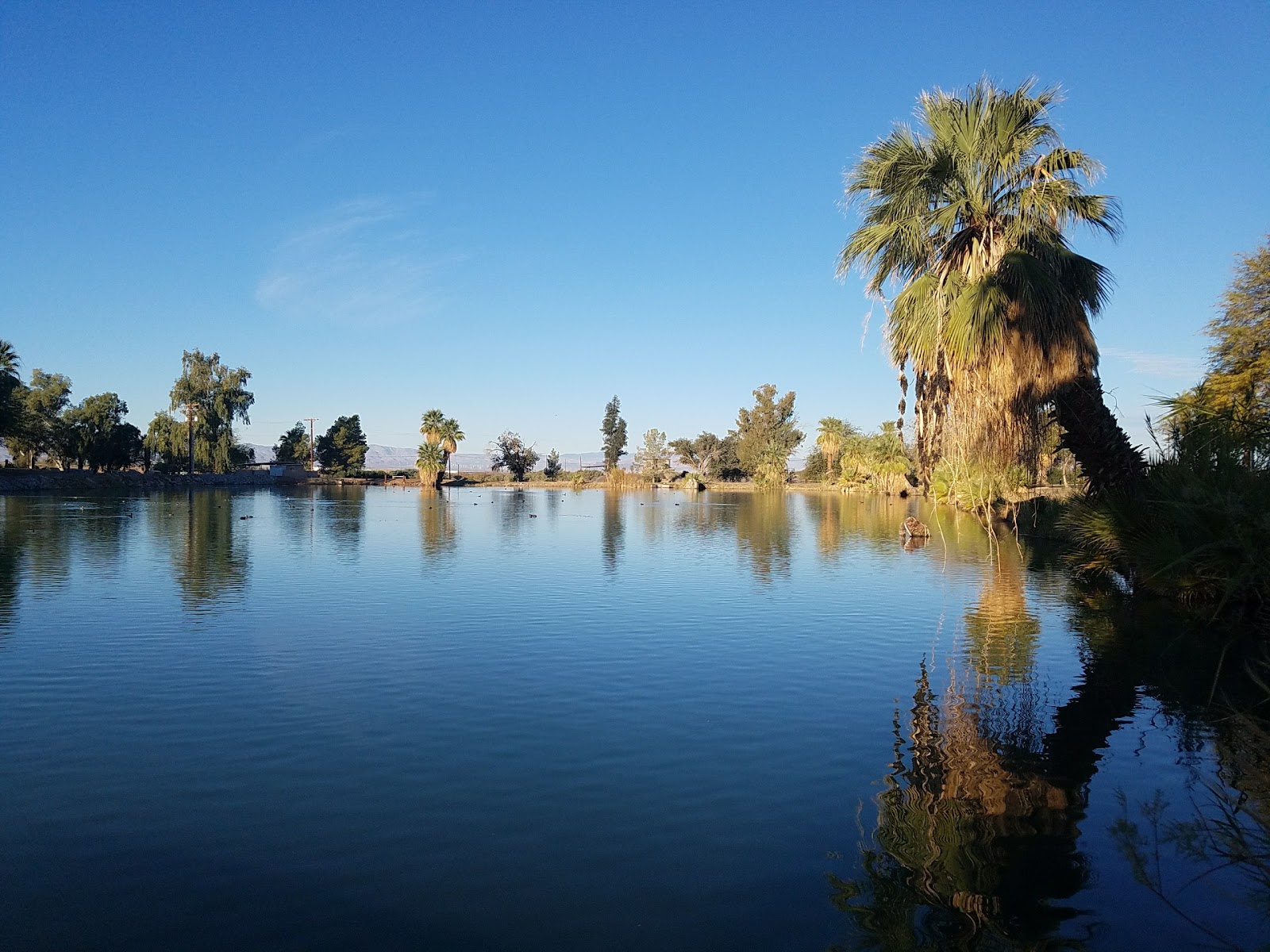 Sunbeam Lake RV Resort - Pictures, Features & Amenities | RVezy Campgrounds