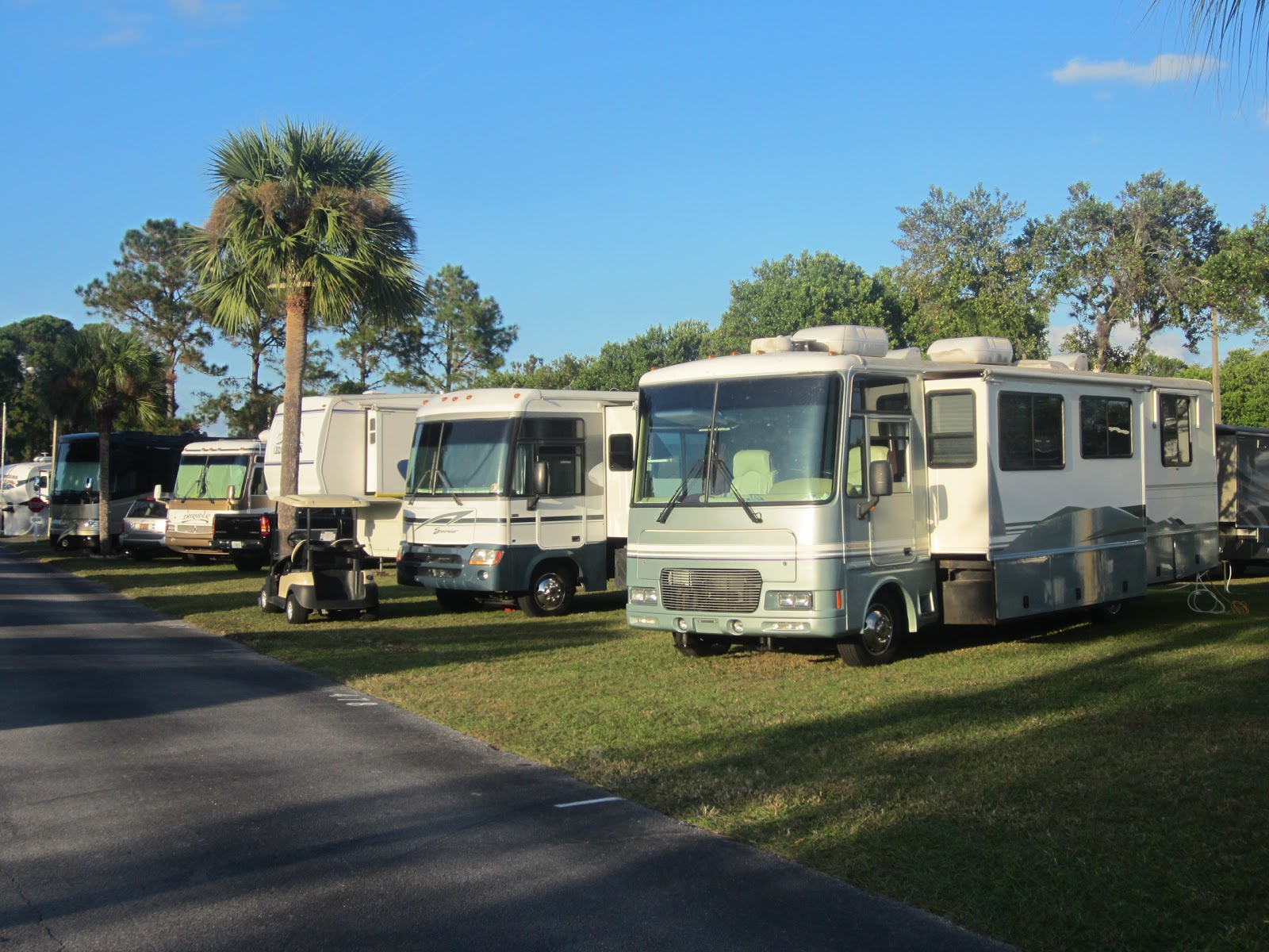 Southern Palms RV Resort - Pictures, Features & Amenities | RVezy ...