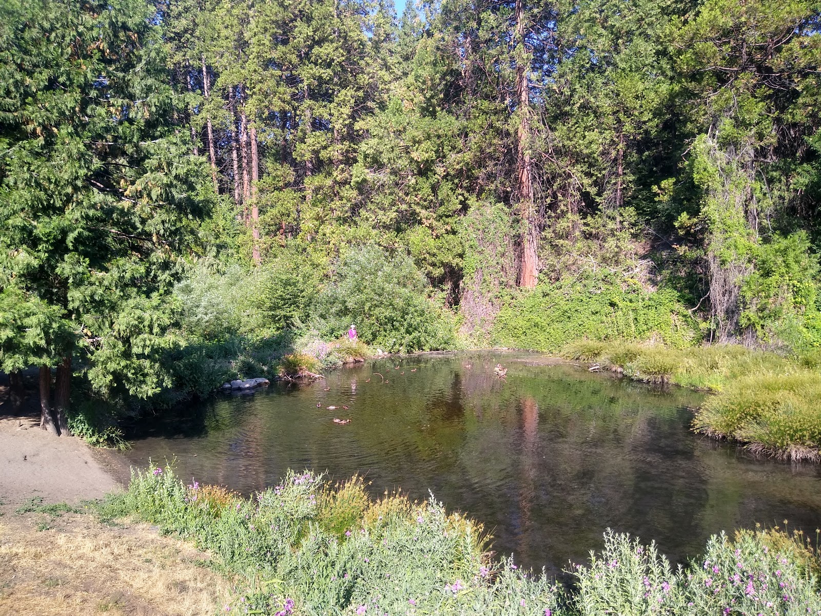 Camp Nelson RV Park - Pictures, Features & Amenities | RVezy Campgrounds