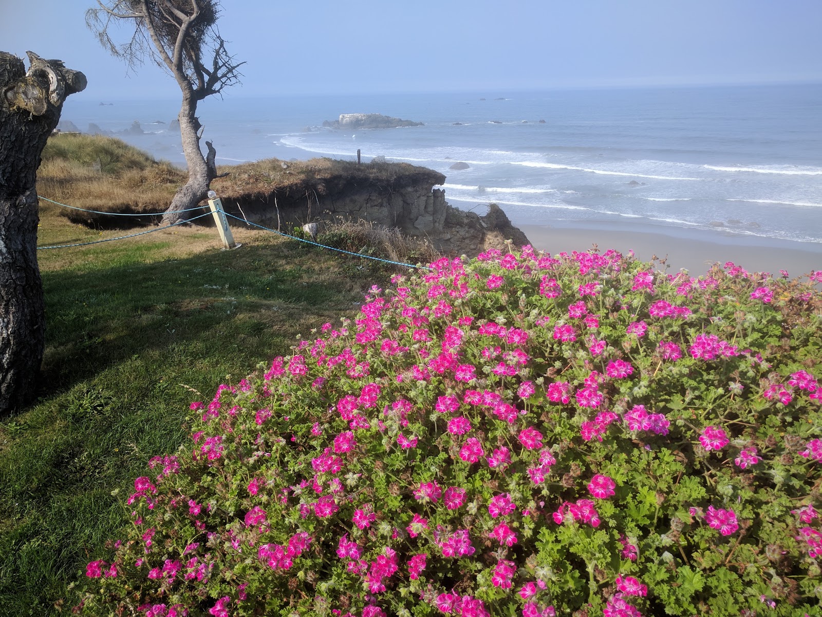 Nesika Beach RV Park - Pictures, Features & Amenities | RVezy Campgrounds