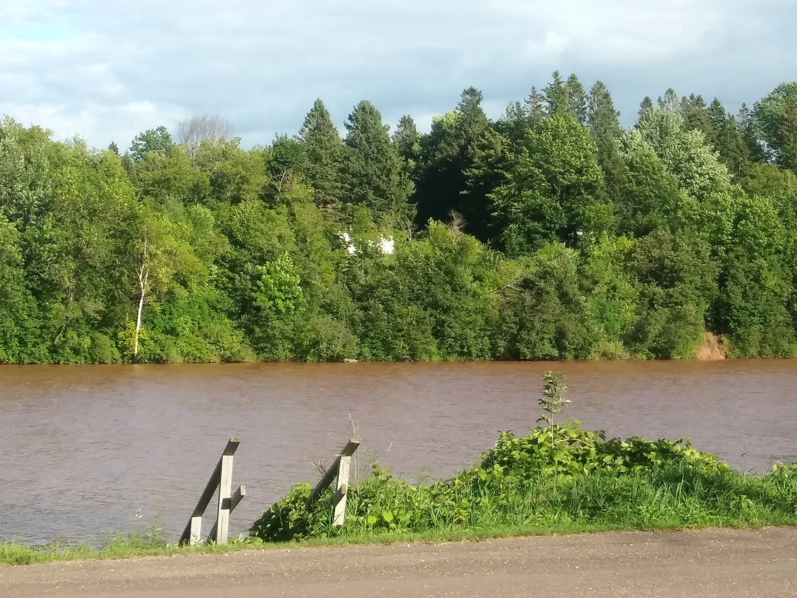 River Pines RV Park and Campgrounds - Pictures, Features & Amenities ...