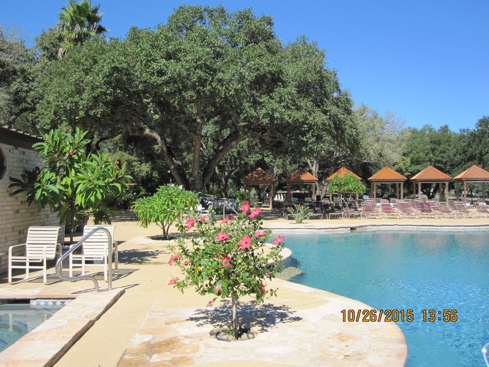 Live Oak Family Nudist Resort Pictures Features Amenities RVezy