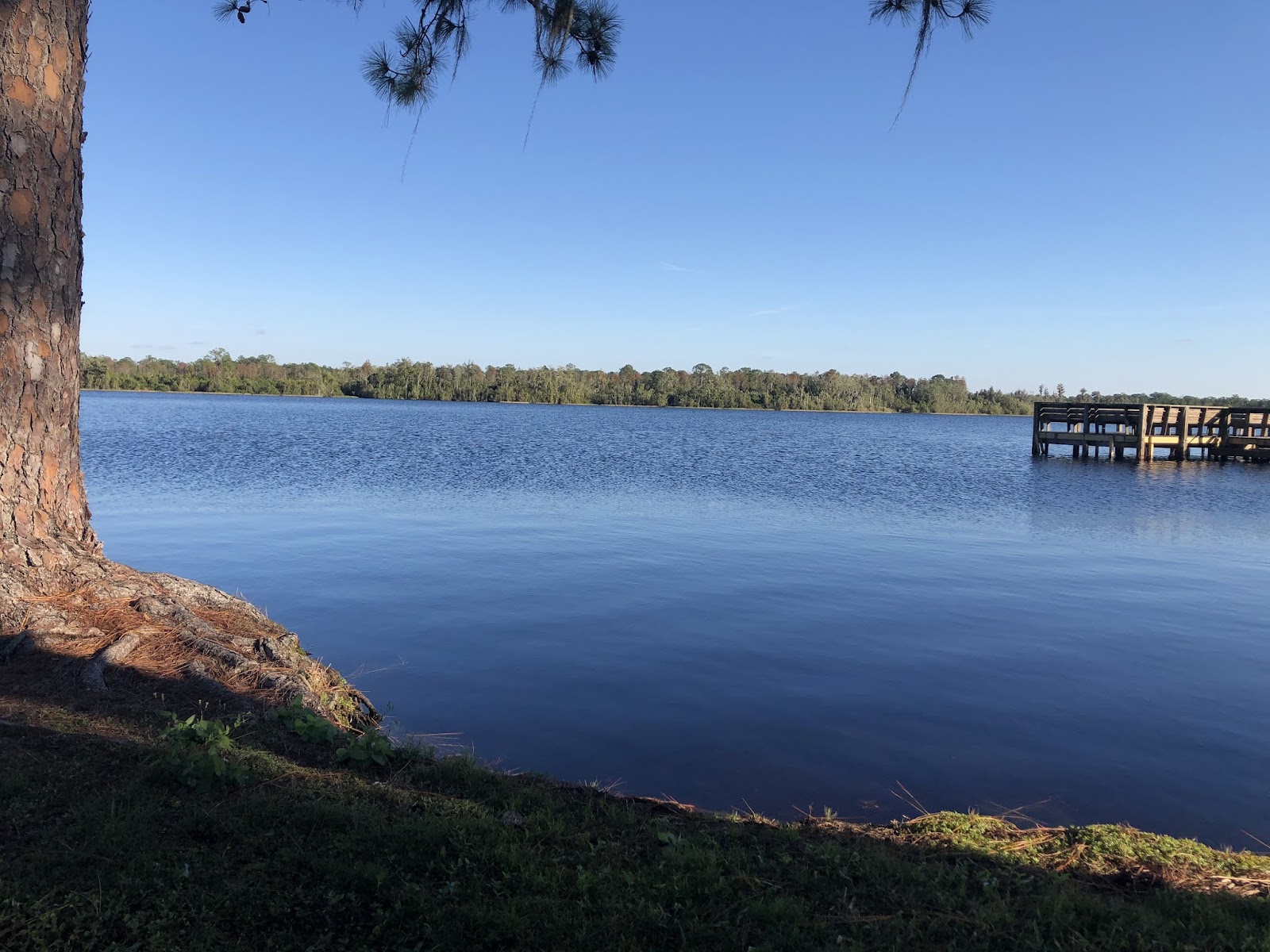 Lake Magic RV Resort - Pictures, Features & Amenities | RVezy Campgrounds