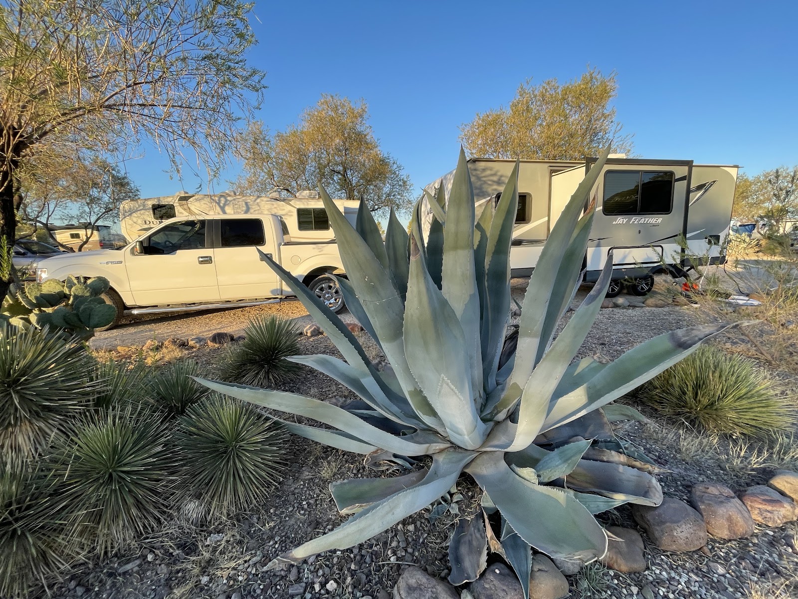 Saddleback Mountain RV Park - Pictures, Features & Amenities | RVezy Campgrounds