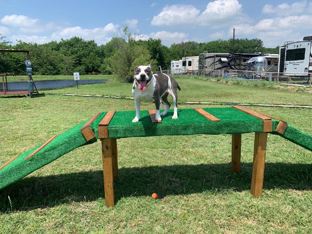 Waggin Tail Ranch RV Park - Pictures, Features & Amenities | RVezy ...