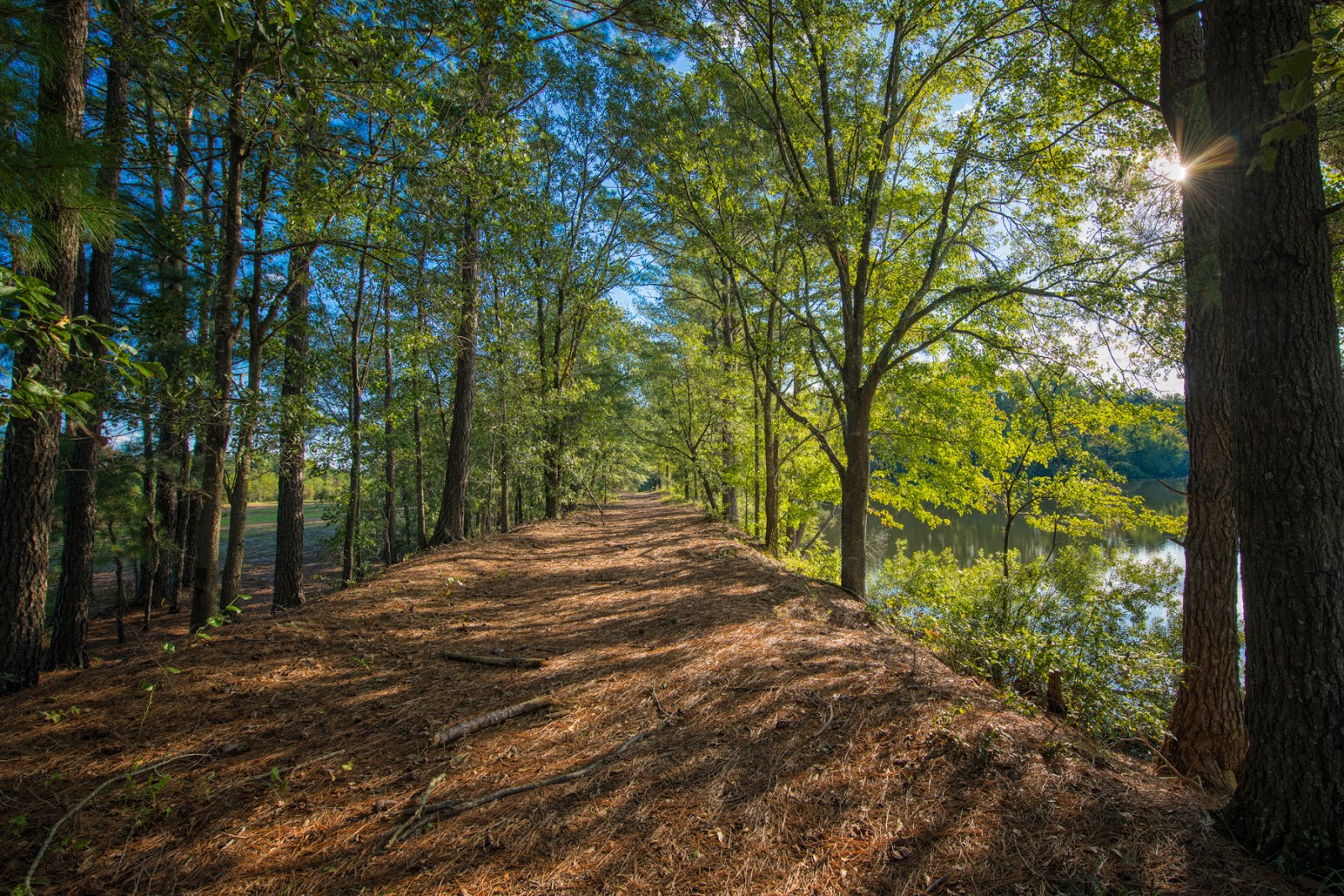 Bass Lake RV Campground - Pictures, Features & Amenities | RVezy ...