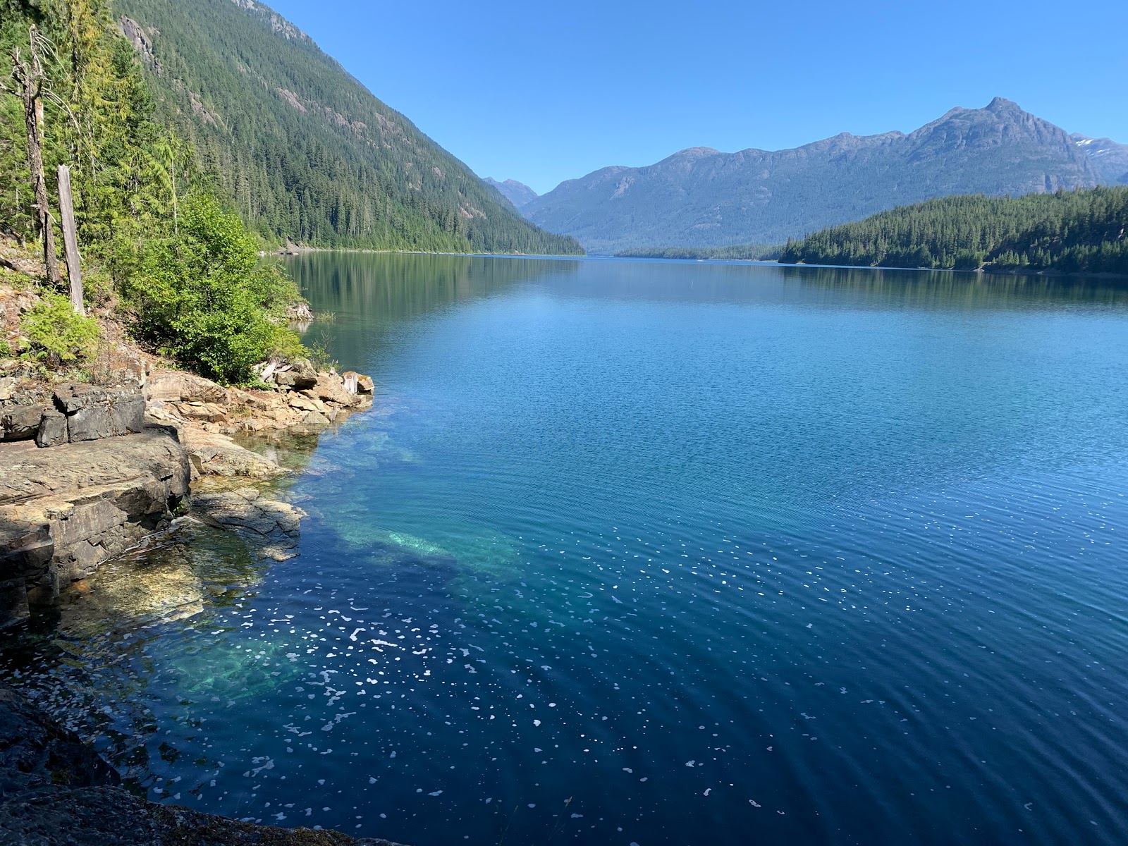 Buttle Lake - Strathcona Provincial Park - Pictures, Features ...
