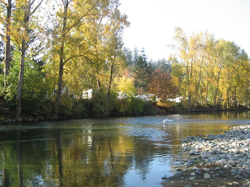 Riverside RV & Camping - Pictures, Features & Amenities | RVezy Campgrounds