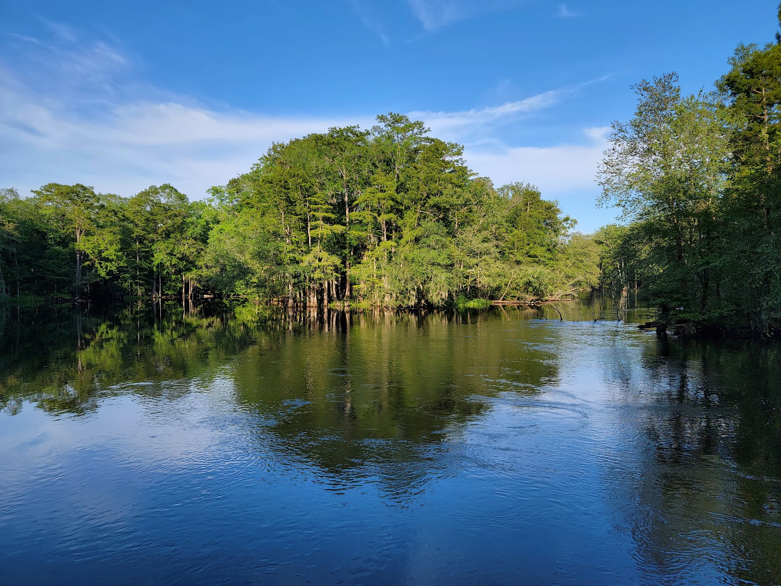 Princess Ann - Lumber River State Park - Pictures, Features & Amenities ...
