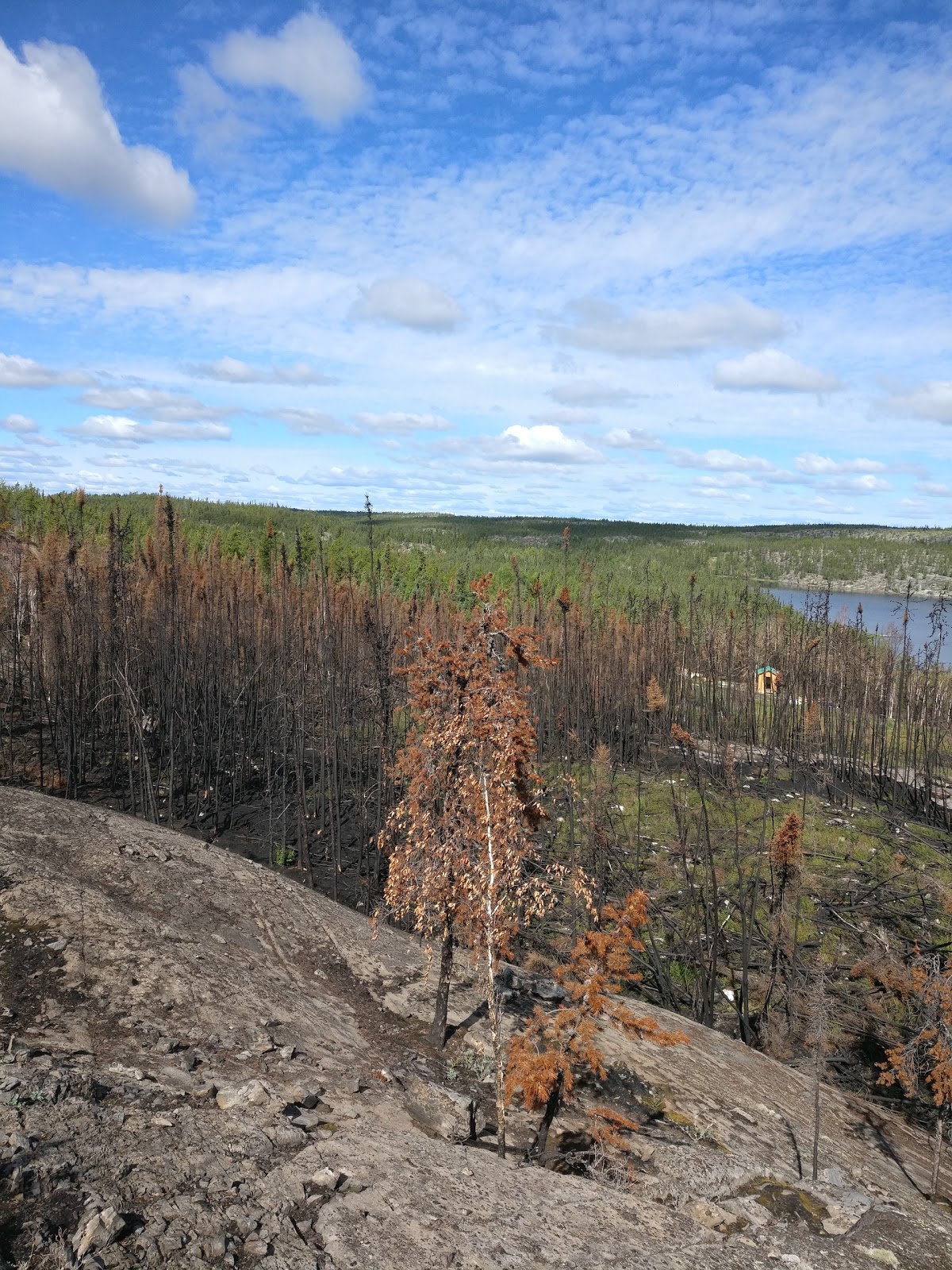Reid Lake Territorial Park - Pictures, Features & Amenities | RVezy ...