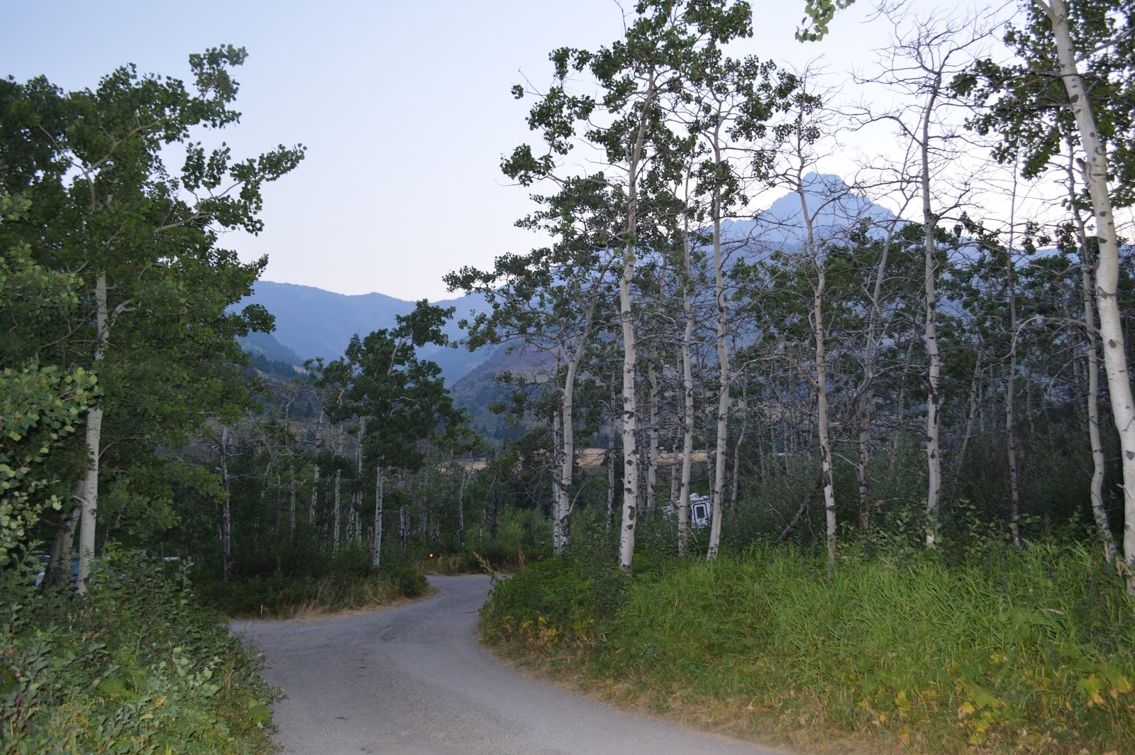 Crandell Campground - Waterton Lakes National Park - Pictures, Features ...