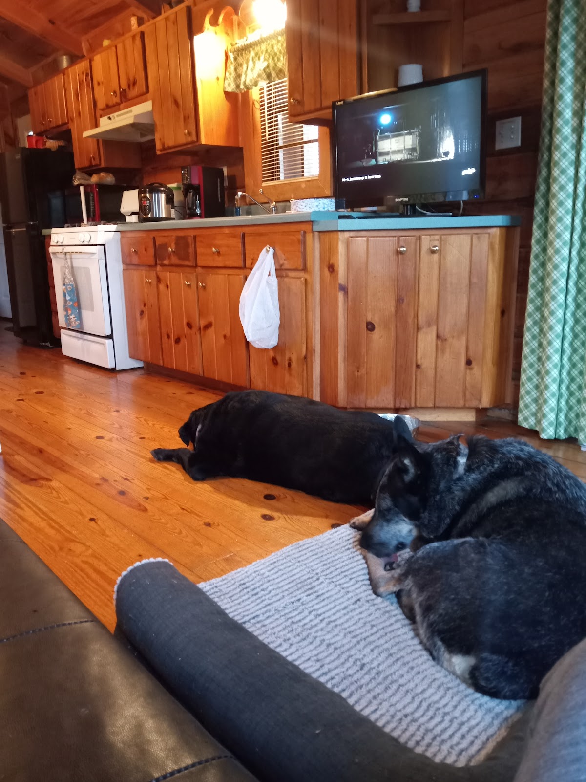 Murphy / Peace Valley KOA Holiday - Pictures, Features & Amenities ...