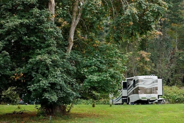 Puntledge RV Campground - Pictures, Features & Amenities | RVezy ...