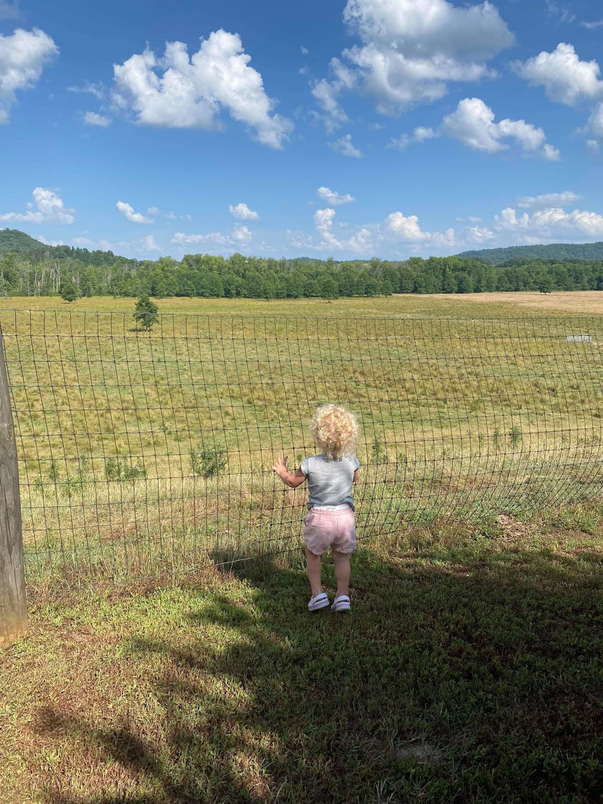 Summer Wind RV Overnight Park - Pictures, Features & Amenities | RVezy ...