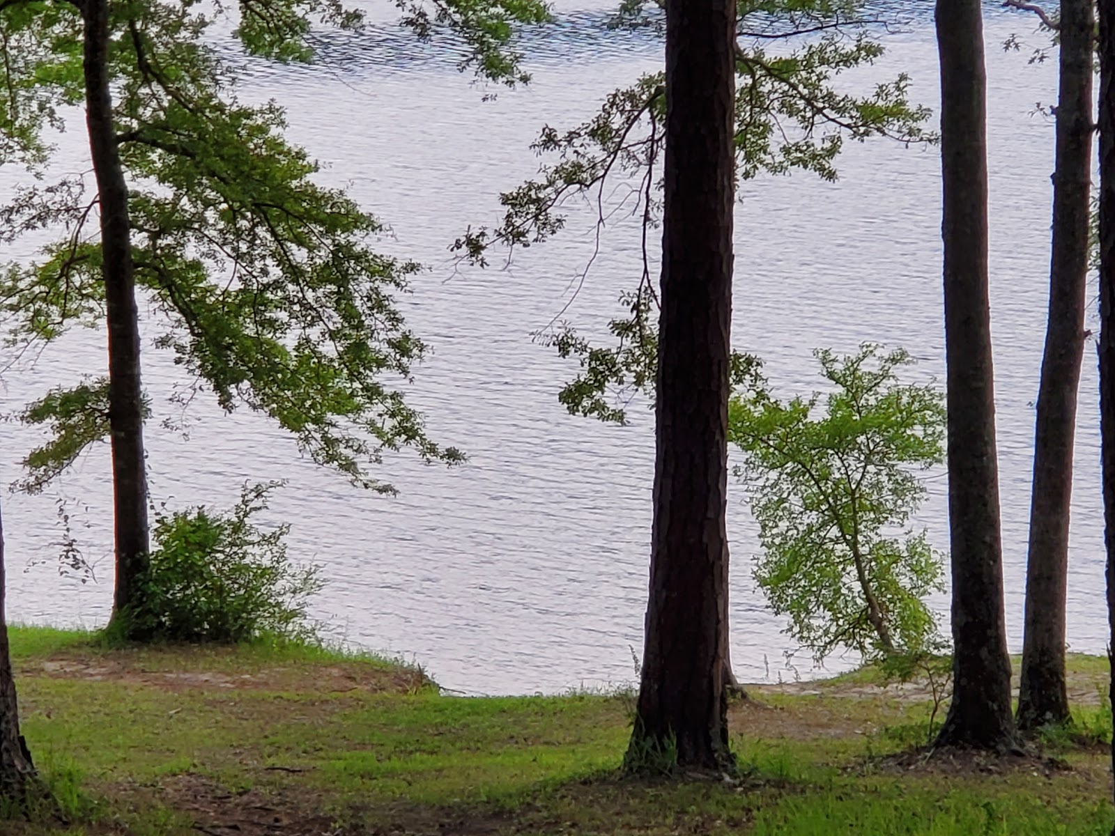 Turkey Creek Water Park Pat Harrison Waterway District - Pictures ...