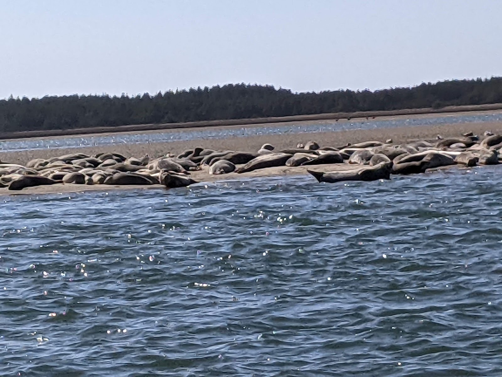 Netarts Bay Garden RV Resorts - Pictures, Features & Amenities | RVezy ...