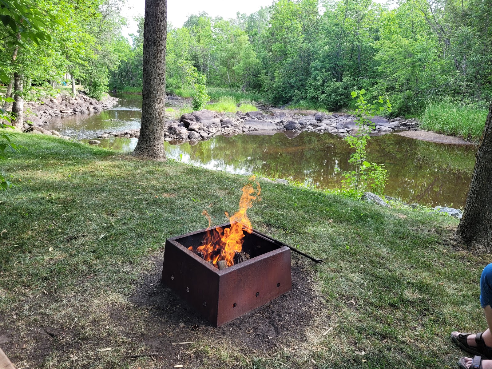 Pine Tree Campground and Restaurant - Pictures, Features & Amenities ...