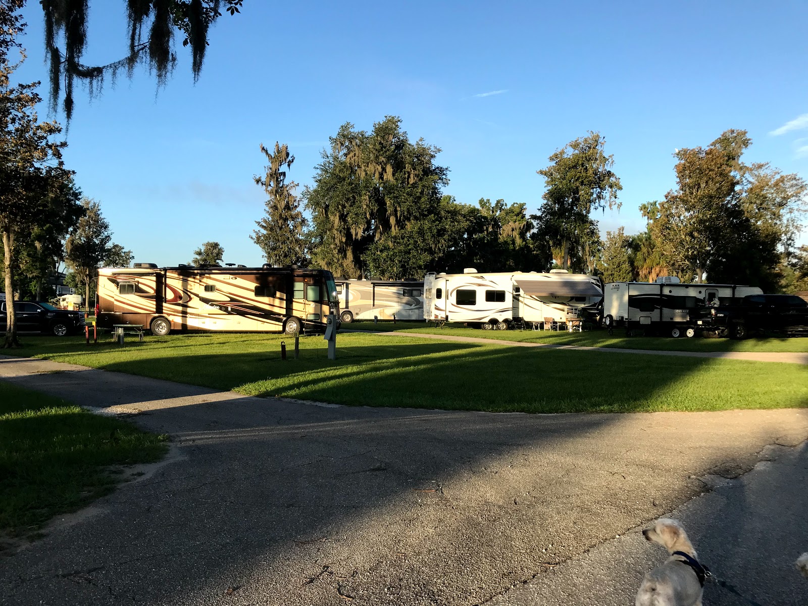 Ocala RV Camp Resort - Pictures, Features & Amenities | RVezy Campgrounds