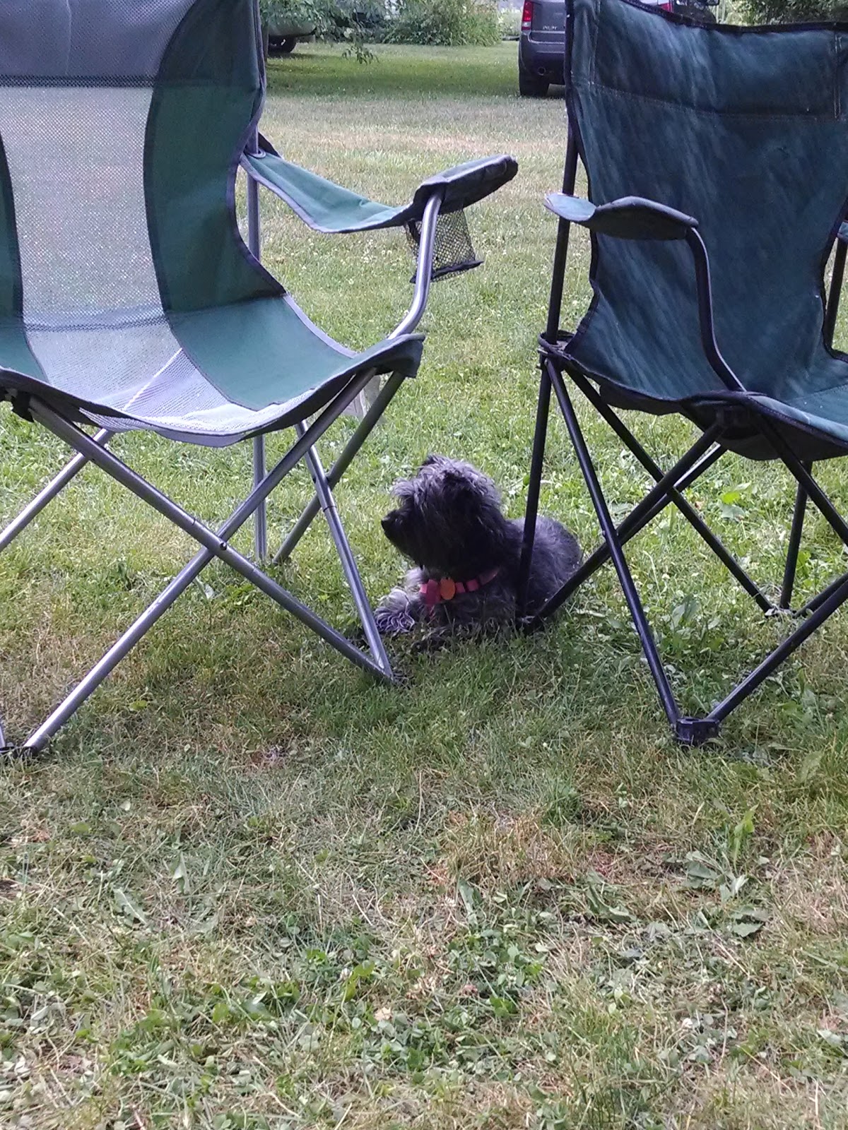 Kokosing Valley Camp and Canoe - Pictures, Features & Amenities | RVezy ...